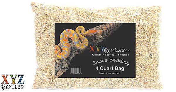 Snake Habitat for Sale | Buy the Perfect Snake Starter Kit