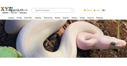 Reptiles For Sale | Online Reptile Store | Reptile Pets - XYZReptiles.com